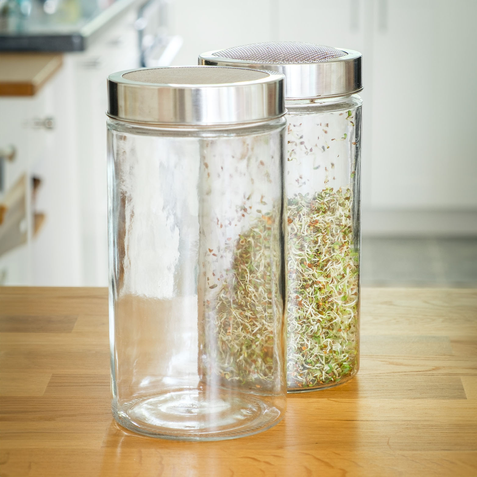 Sprouting Jars - Full of Beans